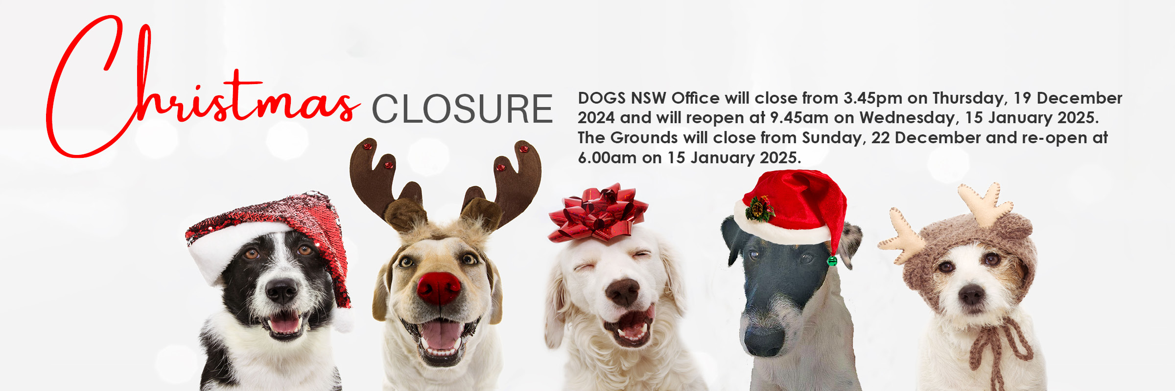 DOGS NSW – Promoting Responsible Dog Ownership